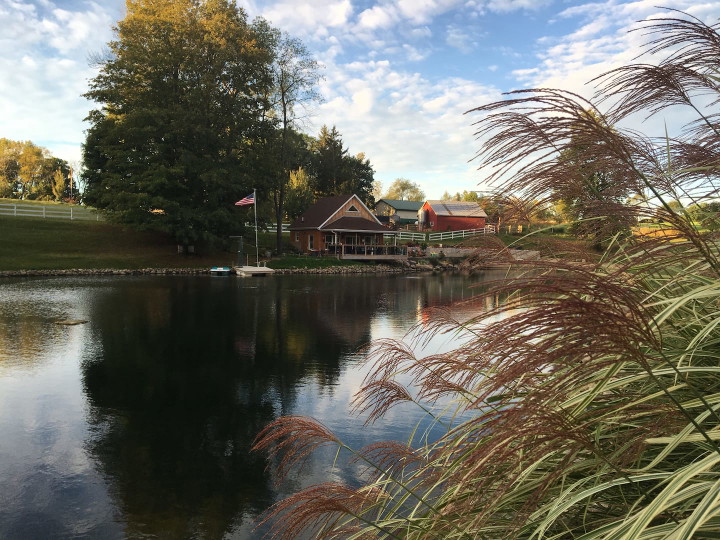 Cozy Cabin By The Pond - United States