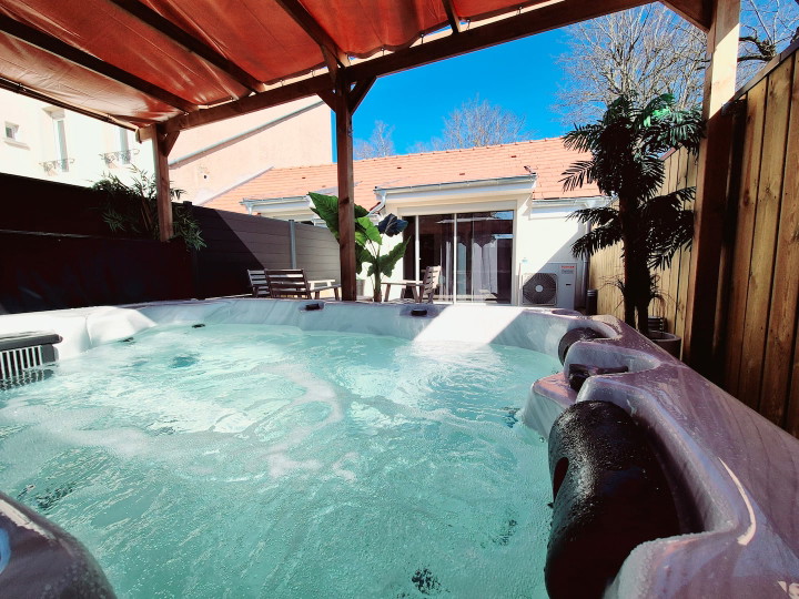 Spa & Terrace Apartment - Dijon