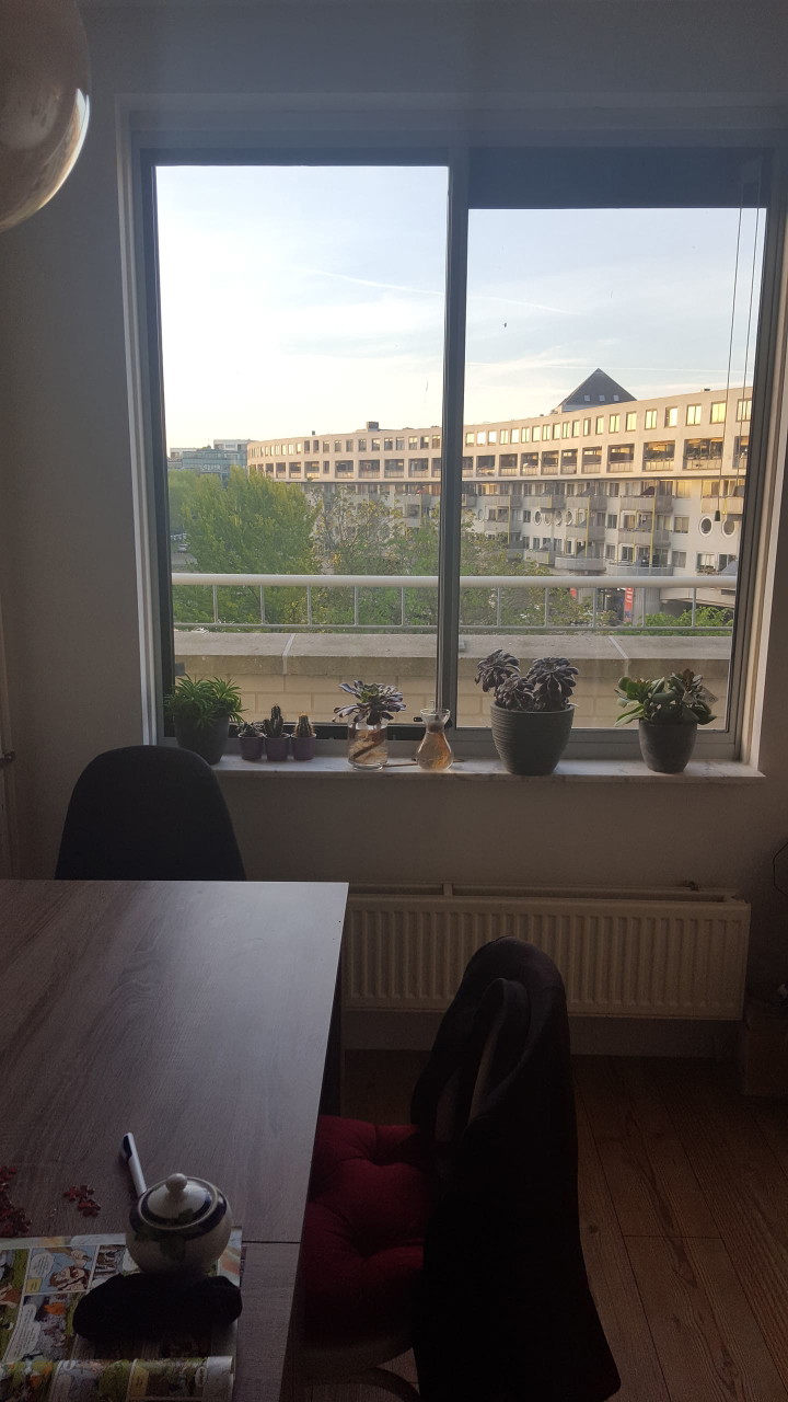 Lovely Apartment Of 76m2. - Ámsterdam