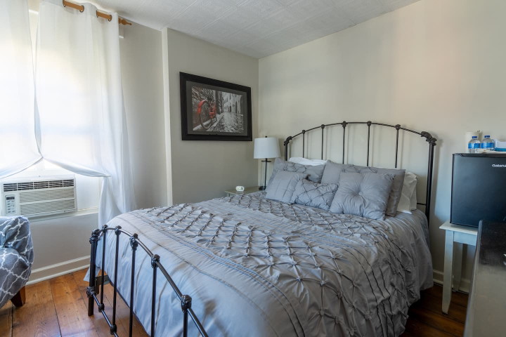 Charming Room In A Hotel With A Hallway Bathroom-8 - New Hope, PA