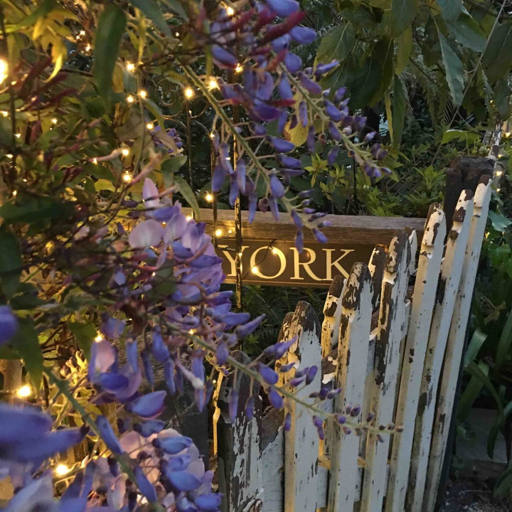 York - Recline In Elegance,  In The Heart Of Leura - Katoomba